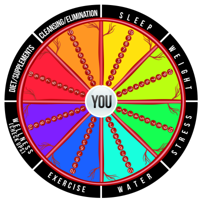 The Wheel of Wealth – The Wheel of Wealth